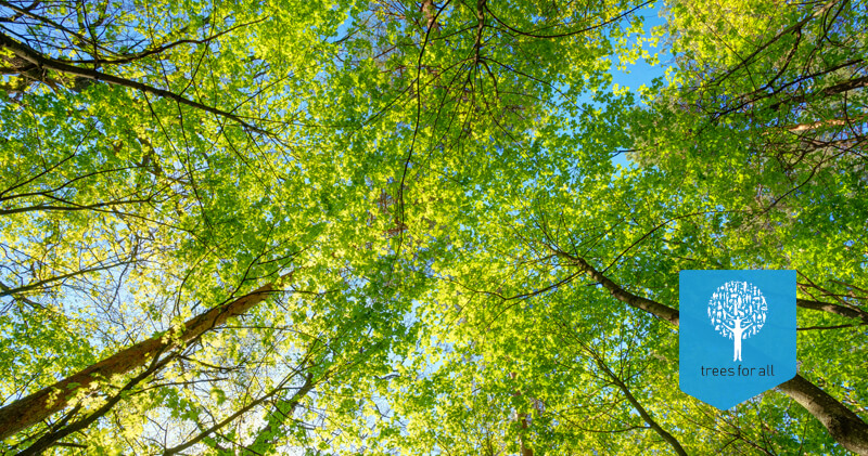 CSR Beleid - Leen Menken